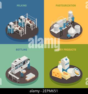 Infographics milk production. Stages of milk production from cows ...