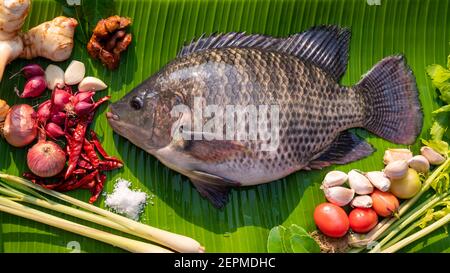 Big plentiful fat tilapia fish isolated on white background Stock Photo ...