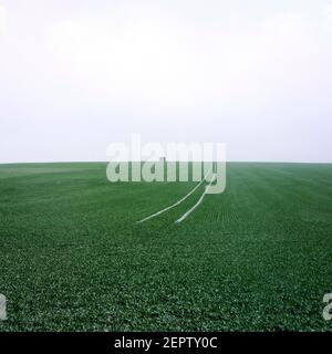Vast field with a green lawn during daytime Stock Photo - Alamy