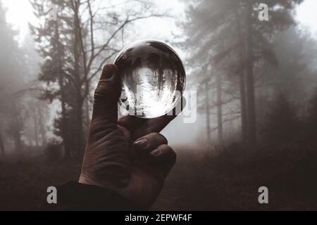 Lensball photography in a misty forest woodland scene Stock Photo - Alamy