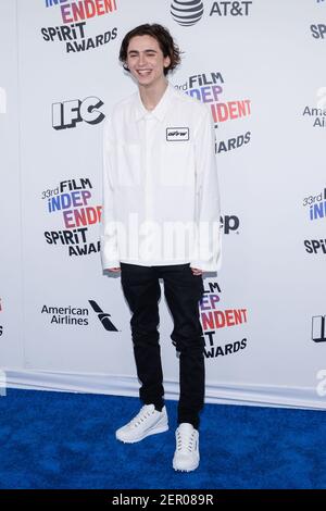 Timothée Chalamet walking on the blue carpet during the 33rd Film ...