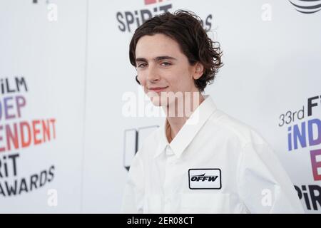 Timothée Chalamet walking on the blue carpet during the 33rd Film ...