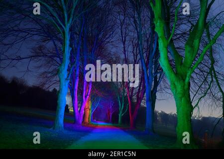 An enchanted woodland walkway at Springhead Park in Rothwell. The trees ...