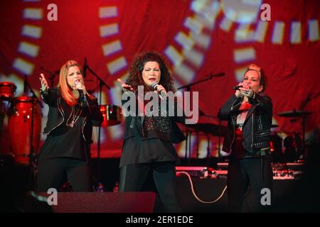 Ann Curless Expose perform during the 80's Weekend at the Seminole ...