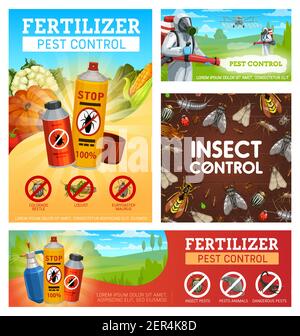 Spraying insecticide on cockroach. Pest control. Aerosol for bug bite ...