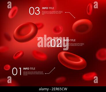 Realistic human cell anatomy infographics with diagram showing plasma ...