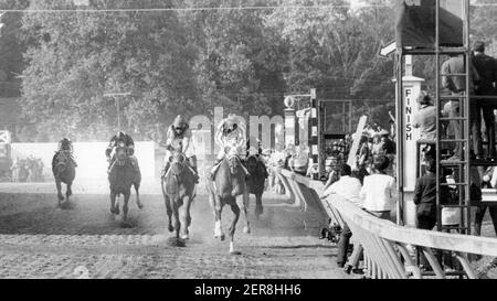 Secretariat at Belmont Stakes, 1973 Stock Photo - Alamy