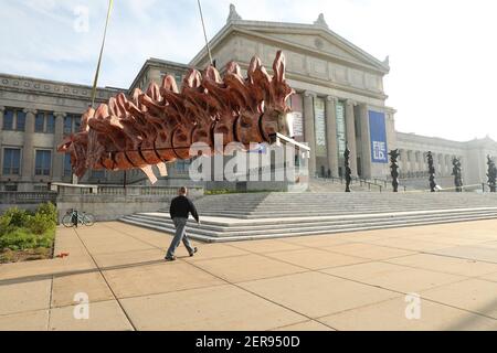 The Stanley Field Hall, with Máximo Titanosaur Patagotitan mayorum, the ...