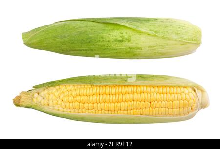 Closed corn cob isolated on white background Stock Photo - Alamy