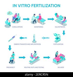 In vitro fertilization isometric composition with information on ...
