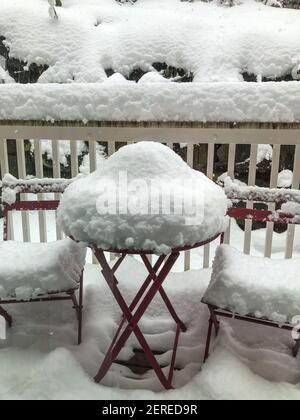 Snowy day in in February in Bellevue,WA Stock Photo - Alamy