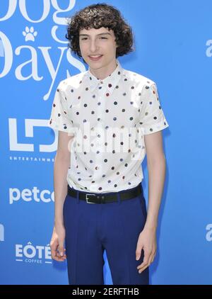Finn Wolfhard arrives at the "Dog Days" Los Angeles Premiere held at ...