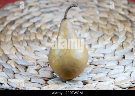 Asian pear (Pyrus pyrifolia) is a species of pear tree native to East ...