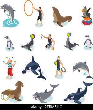 Killer whale icons set. Isometric set of killer whale vector icons for ...