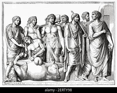 Haruspex. Priest who in ancient Rome religion predicted the future by ...