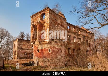 Overgrown abandoned ruined building in the weedy forest Stock Photo - Alamy