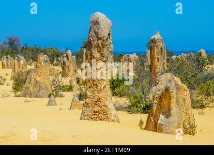 The Pinnacles, thousands of limestone formations or pillars, within ...