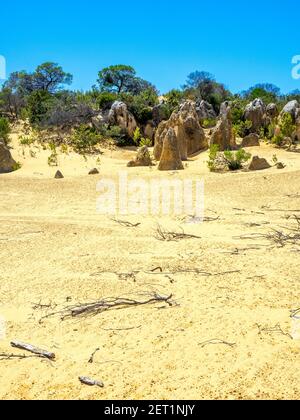 The Pinnacles, thousands of limestone formations or pillars, within ...