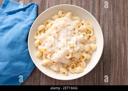 Pipe or shell pasta with a creamy alfredo sauce and parmesan cheese ...