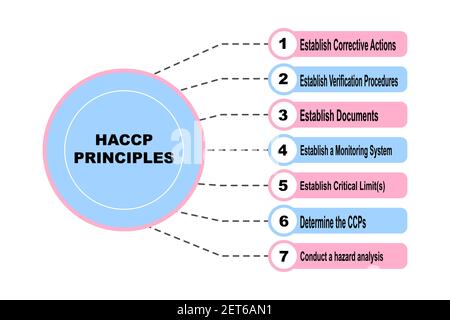 Haccp Flow Chart Template