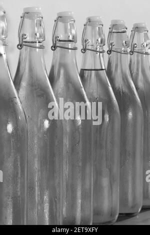 Black and white photo of a row of flip top bottles of home made cider ...
