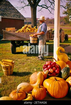 Old tractor working on the field Stock Photo - Alamy