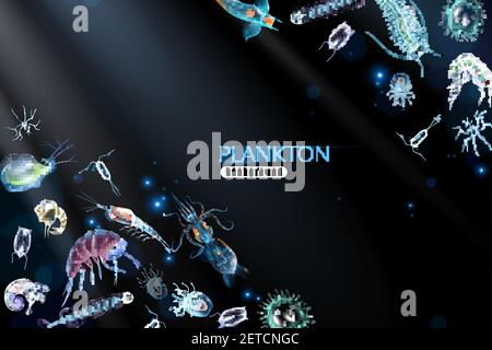 Plankton abstract background with marine different small organism both ...