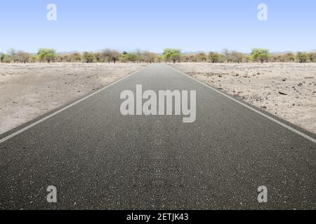 Asphalt road with tree and drought land with a sunset sky background ...