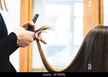 The master hairdresser cuts the ends of the girl's hair after washing and before styling in the ...
