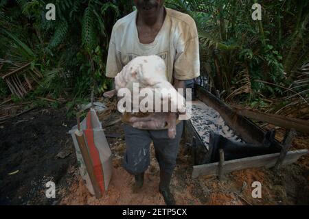 A man showing his sago creation on the side of Salawai river in Seram ...