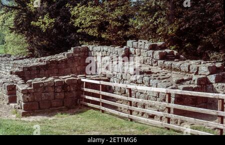 section of hadrians wall and brunton turret at low brunton ...