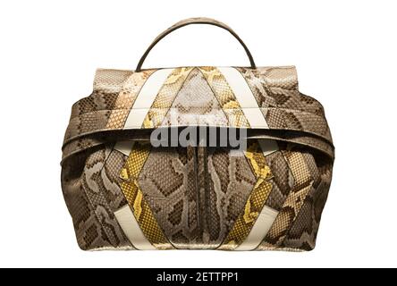 Fashionable and stylish walking handbag for woman. Studio shoot Stock ...