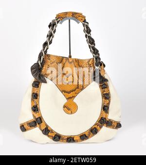 Fashionable and stylish walking handbag for woman. Studio shoot Stock ...