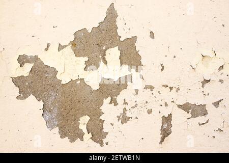 Wall paint peeling off due to moisture problems on wallcovering, need ...