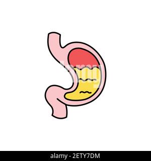 Human organ stomach color line icon. Pictogram for web page, mobile app ...