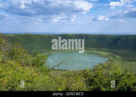 Kenya, Marsabit National Park, Lake Paradise, crater lake surrounded by ...