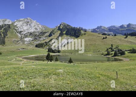 France, Haute Savoie, Lac des Confins, summer Stock Photo - Alamy