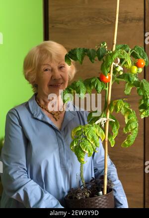 A person holds a red tomato in their hand. The garden scene shows green ...