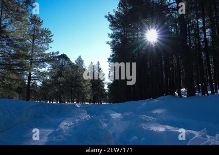Snow capped San Francisco Peaks and deep snow following a strong winter ...