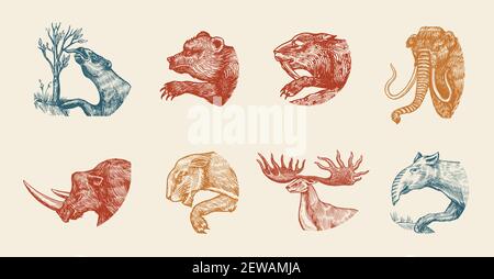 Mammoth or extinct elephant, Woolly rhinoceros Cave bear lion. Panthera ...