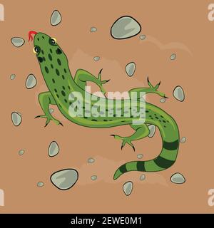 Vector illustration grovelling animal to reptiles lizard in desert ...