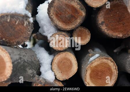 Firewood, billet logs for fireplace lying under the snow Stock Photo ...