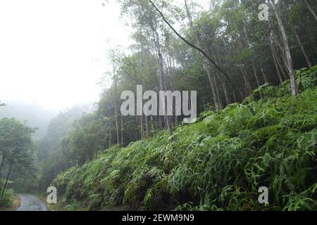 Mount Matang Sri Maha Mariamman Temple, Hindu Temple, Kuching, Sarawak ...