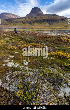 Hike in the polar tundra Stock Photo - Alamy