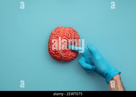 A doctor in blue gloves poking a brain. Mental health concept Stock ...