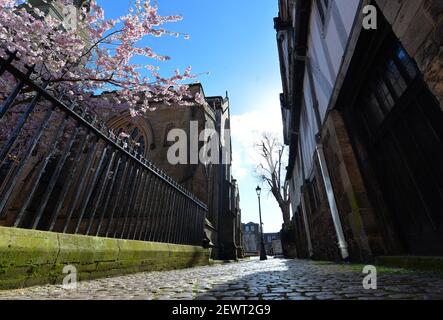 Spring blossom around Leicester Cathedral on a blue sky day Stock Photo ...