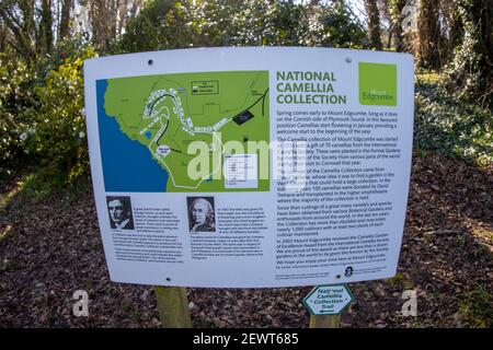 Mount Edgecombe Country Park Stock Photo - Alamy