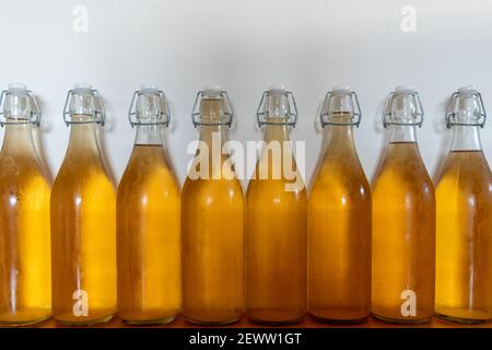 Close up of a row of flip top bottles of home made cider covered in ...
