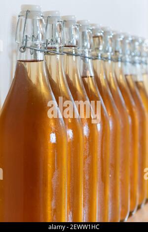 Close up of a row of flip top bottles of home made cider covered in ...