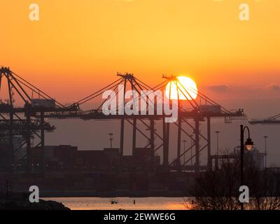 Cargo ships load and unload containers at Lianyungang Port in east ...